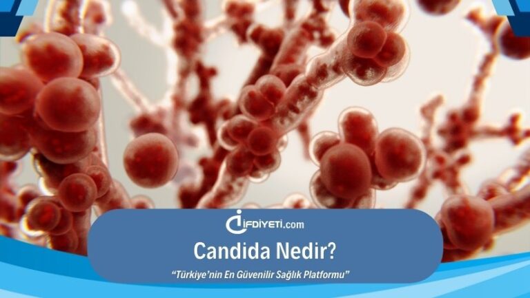 Candida Nedir? | İFDİYETİ.COM