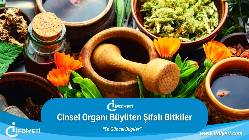 Cinsel Organı Büyüten Şifalı Bitkiler | İFDİYETİ.COM